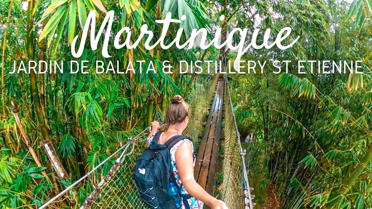 Martinique | Treetop walk at Jardin de Balata & visiting a distillery ...