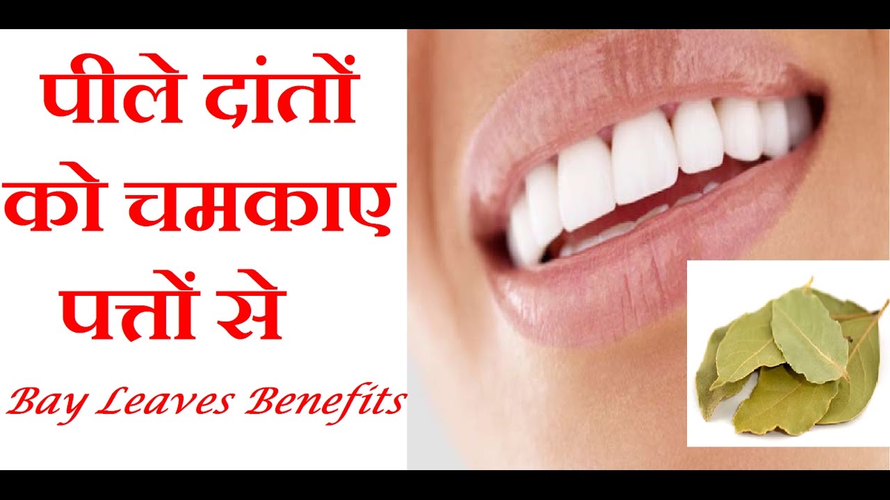 Bay Leaves Benefits For Health Gharelu Upay In bay-leaves-benefits-for-health-gharelu-upay-in