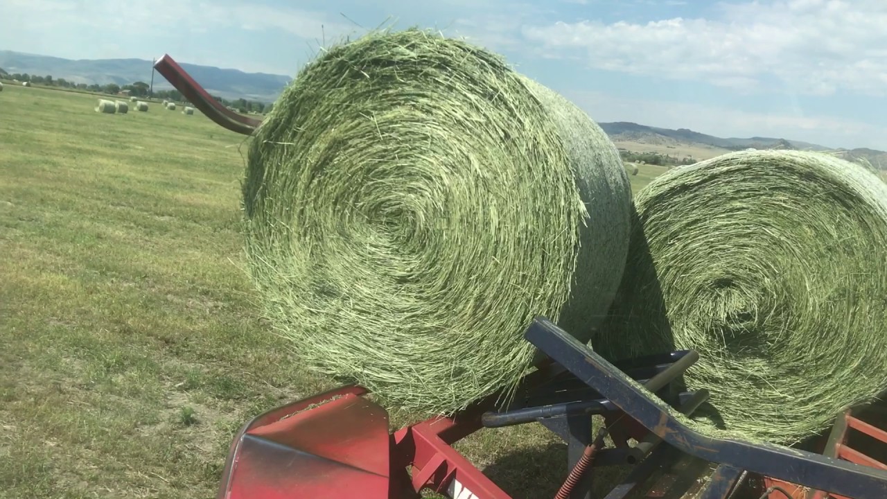 Stacking bales - YouTube