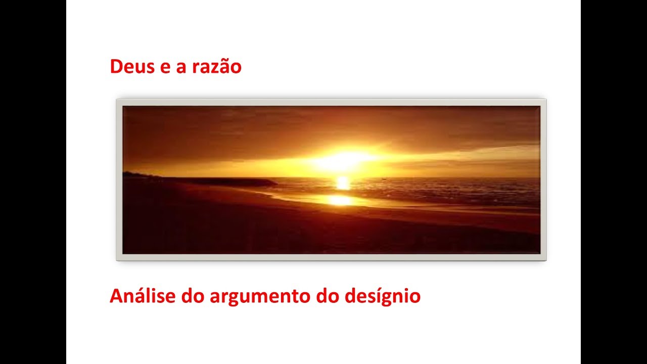 8 - Deus e a razão: análise do argumento do desígnio - YouTube