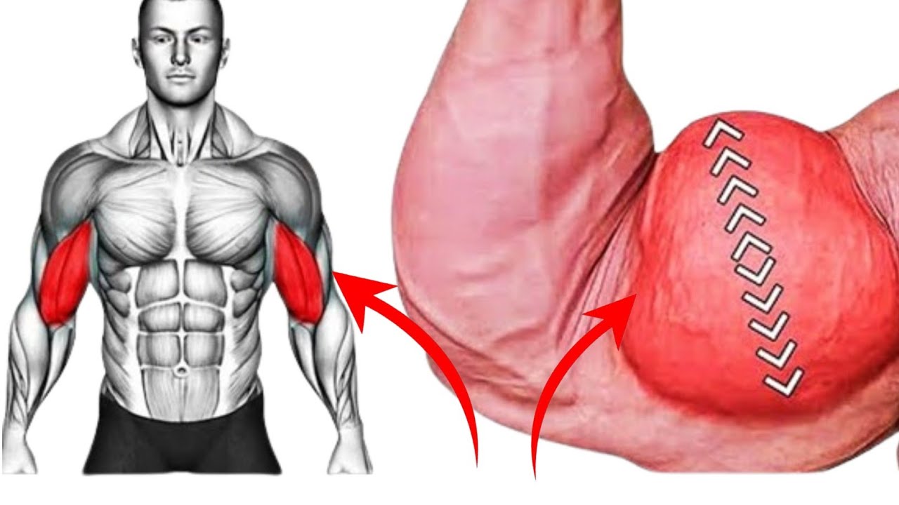 5 Best Biceps Workout For Wider - Biceps Exercises At Gym - YouTube