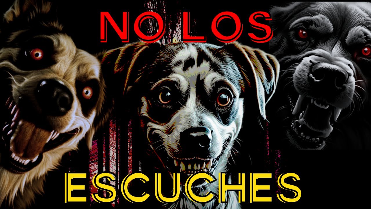 PERROS POSEIDOS: No debi llevar ese perro a casa | HISTORIA DE TERROR ...