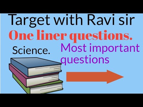 One liner most important questions - YouTube