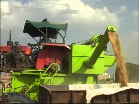 TRACTOR MOUNTED COMBINE HARVESTER ON WHEAT - YouTube