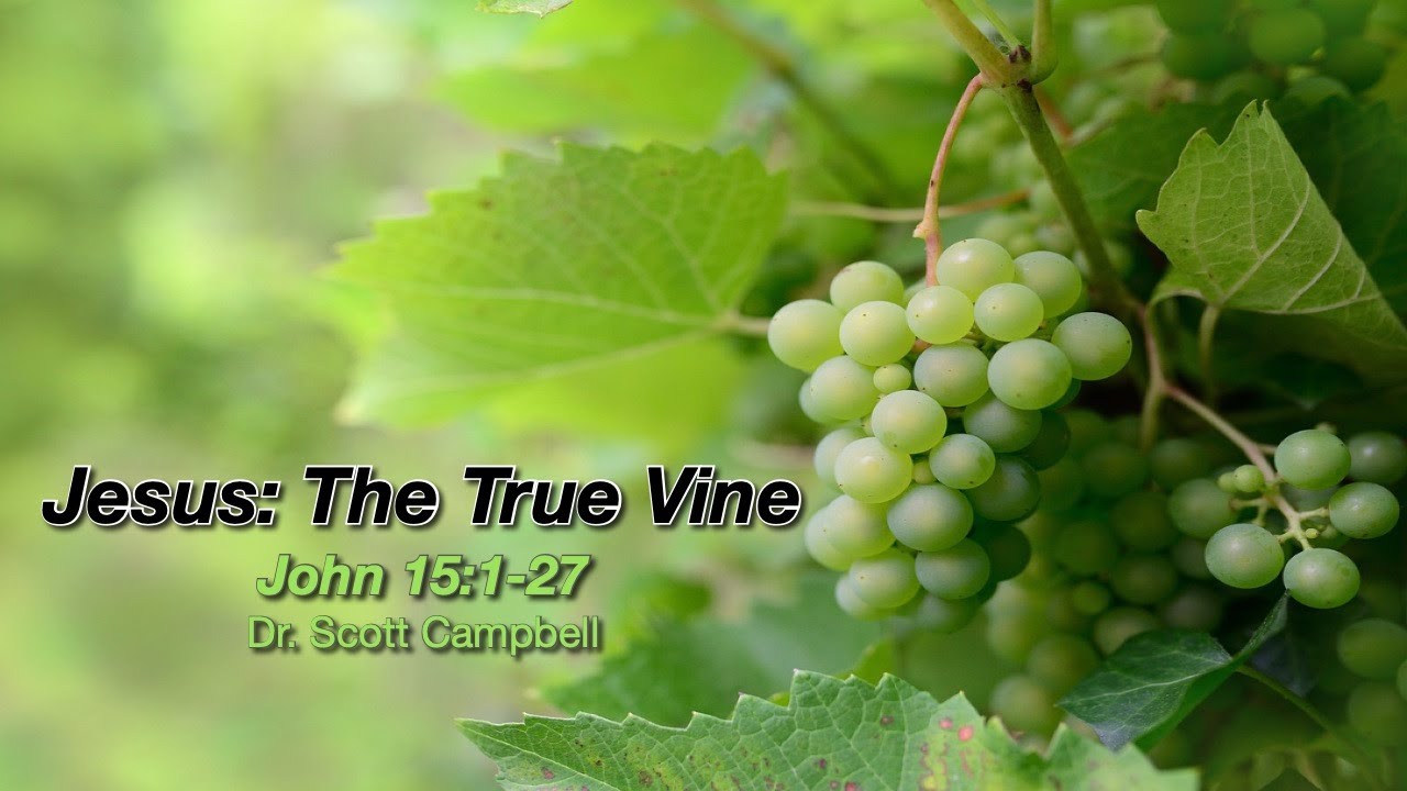 Jesus The True Vine - YouTube