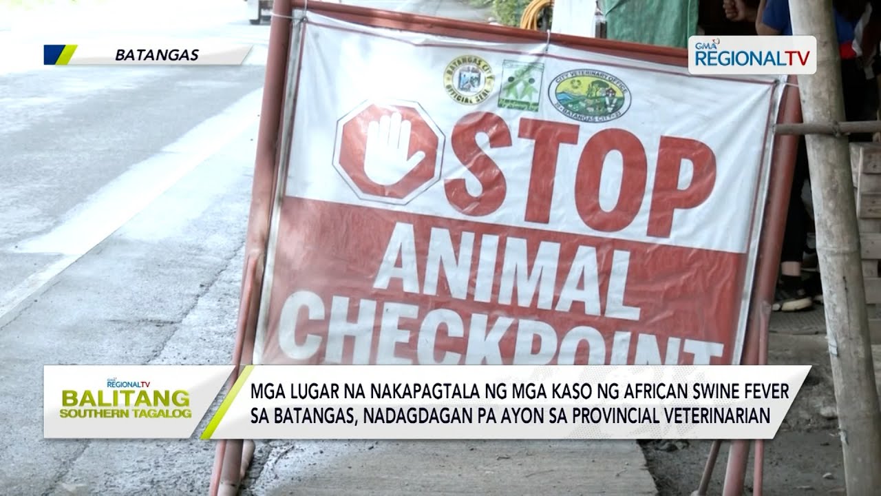 Balitang Southern Tagalog: Mga lugar na nakapagtala ng mga kaso ng ASF ...