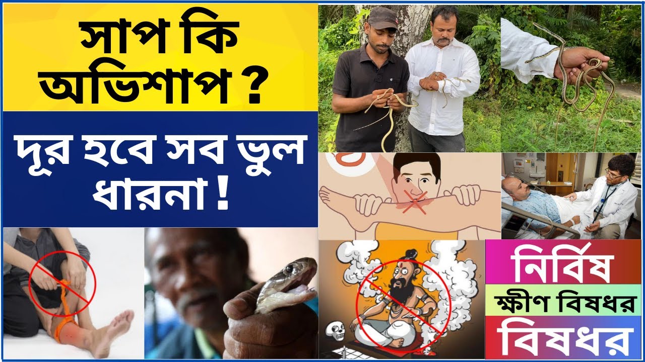 snake bite precautions | top venomous snakes in west bengal ...