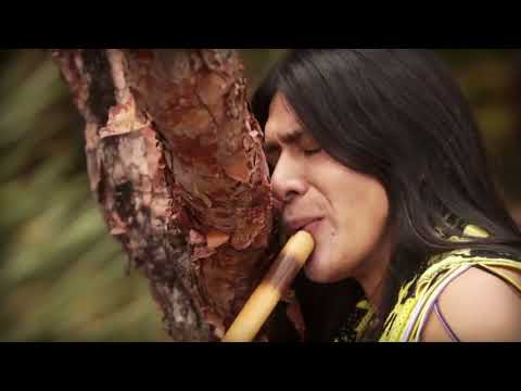 Leo Rojas El Condor Pasa Videoclip YouTube - YouTube