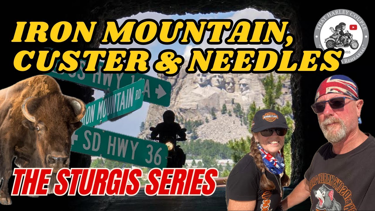 Iron Mountain Road and where to find the elusive Buffalo near Sturgis ...