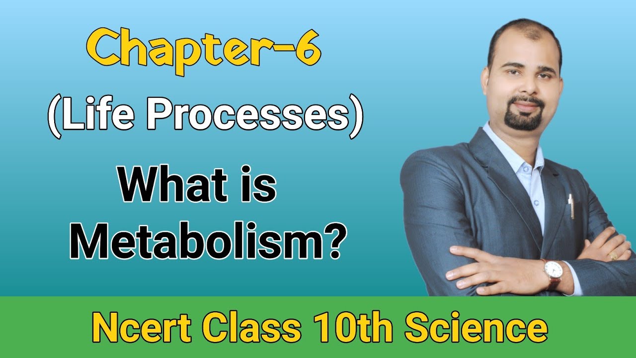 What is Metabolism? || Life Processes|Class- 10th |For-2024 #biology # ...