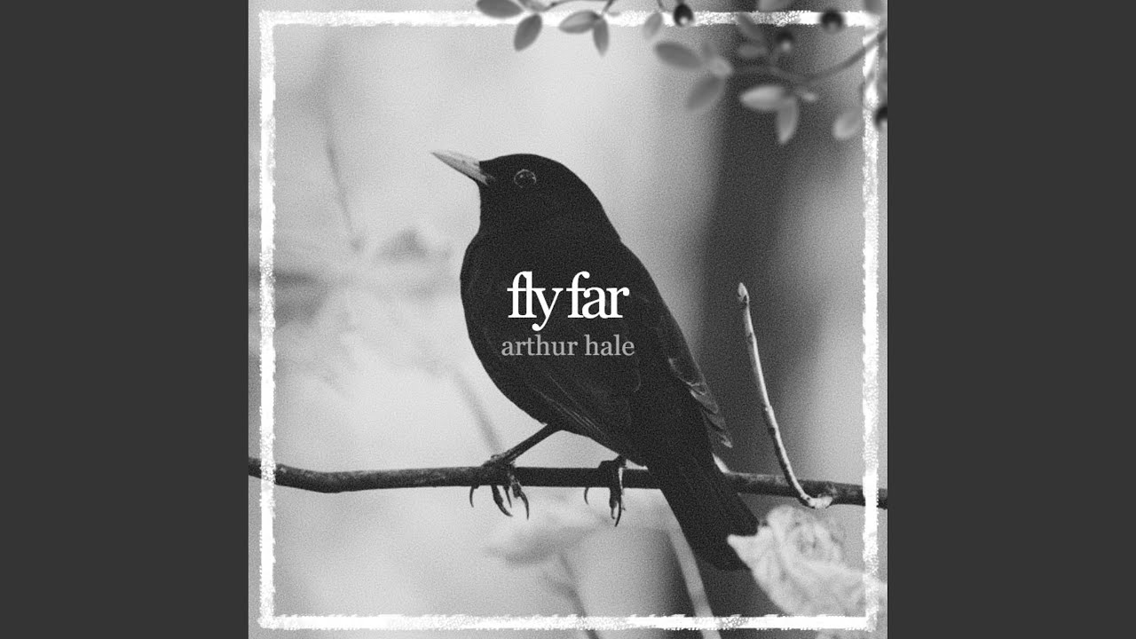Fly Far - YouTube