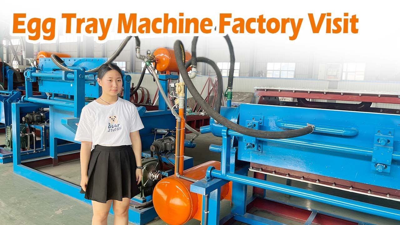 Top 3 Egg Tray Machine Factory in China - Paper Tray Making Machine ...