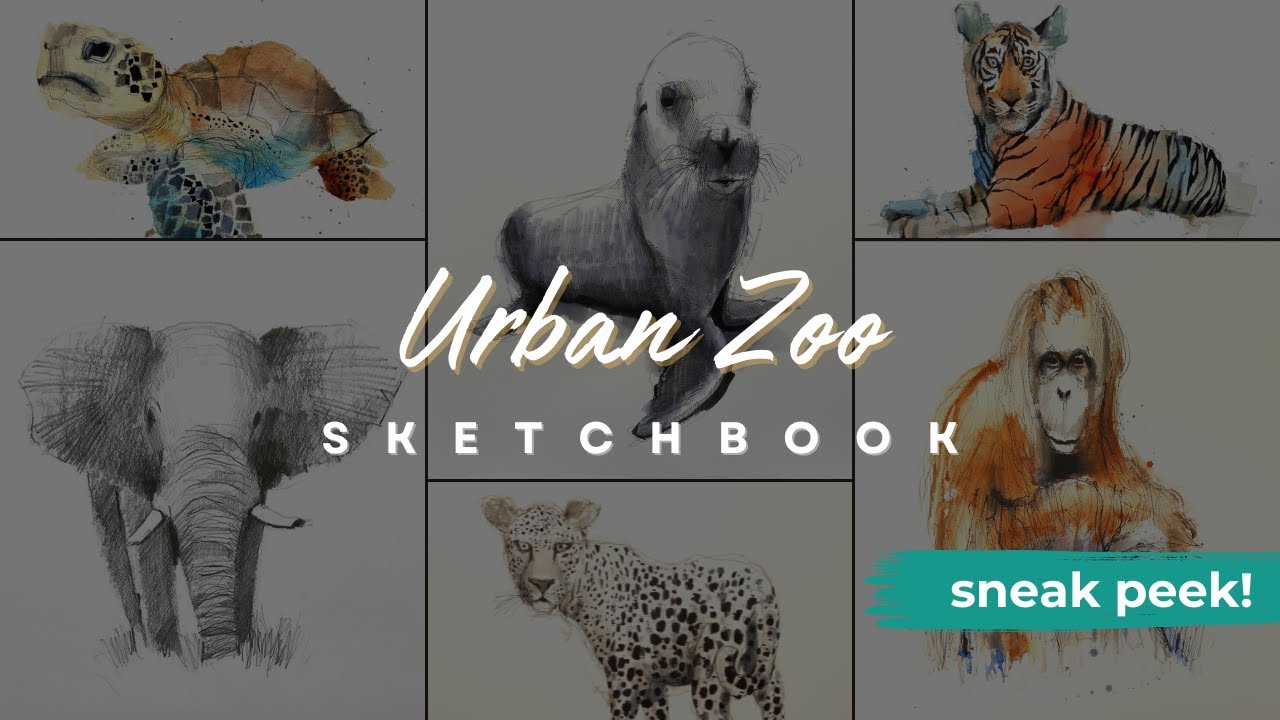 Sneak peak of my urban zoo sketchbook! - YouTube