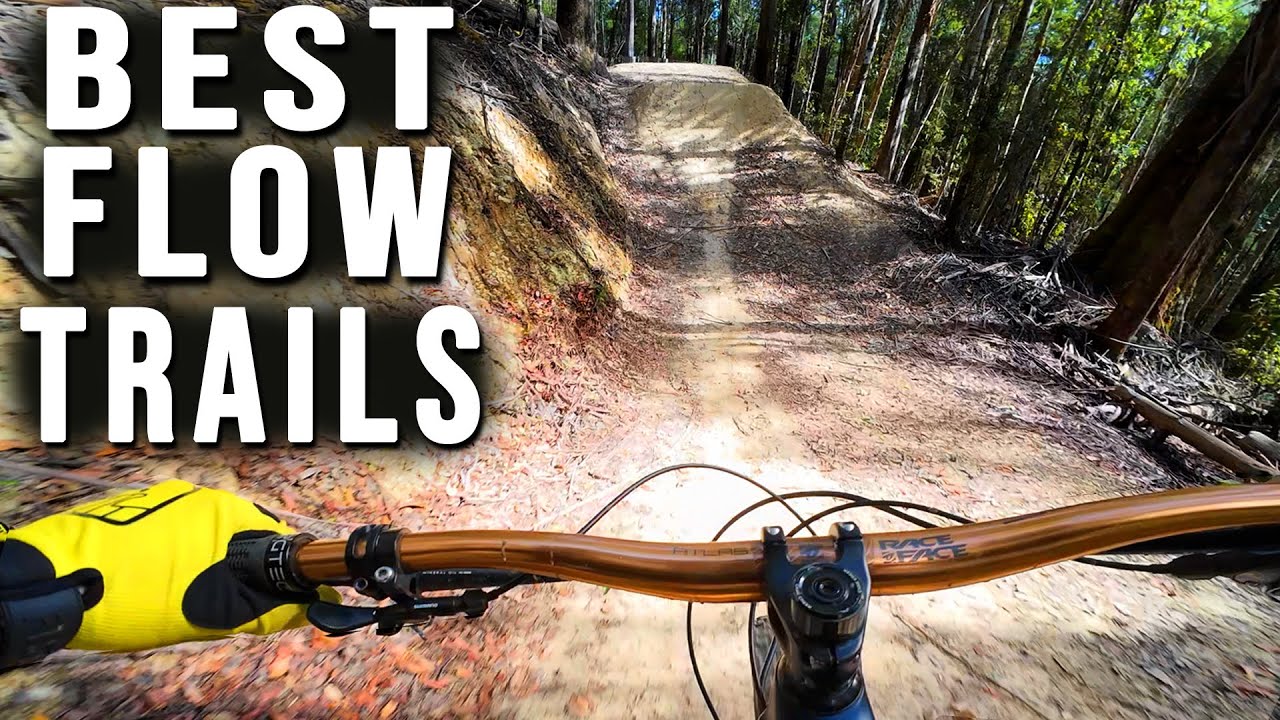 Best FLOW trails | Maydena Bike park - YouTube