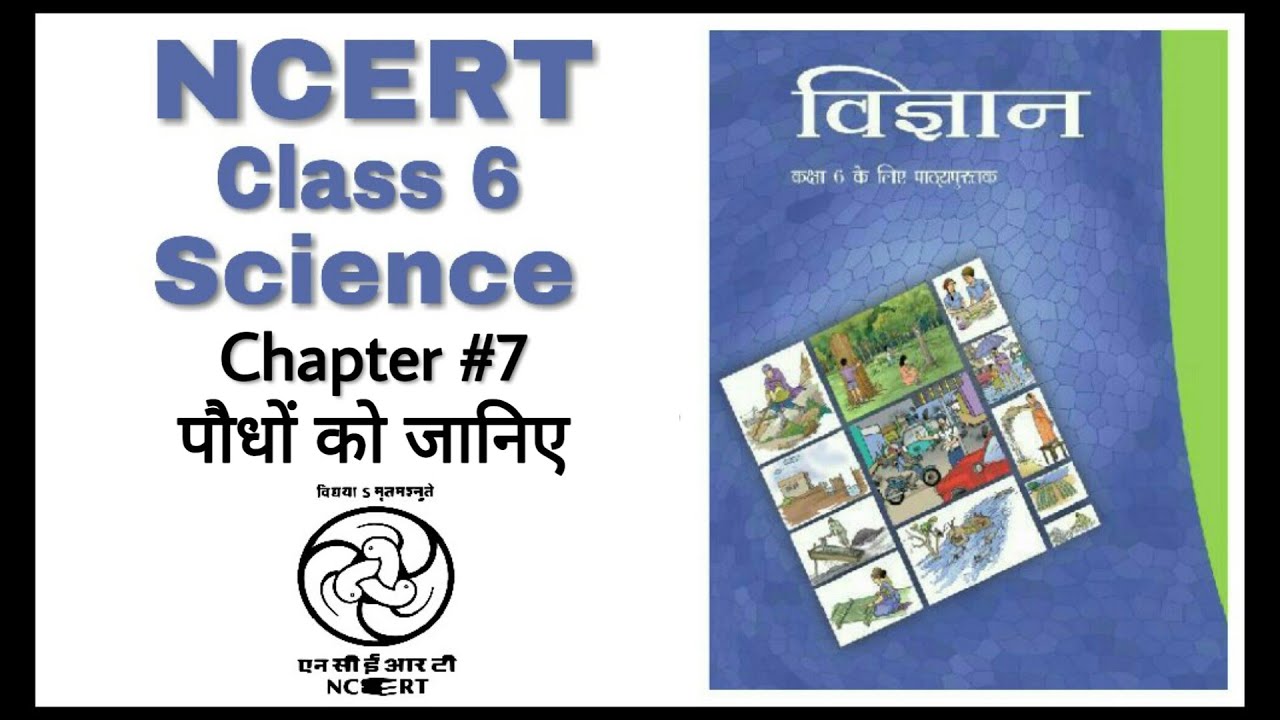 NCERT Class 6 Science Chapter 7 YouTube ncert-class-6-science-chapter-7-youtube