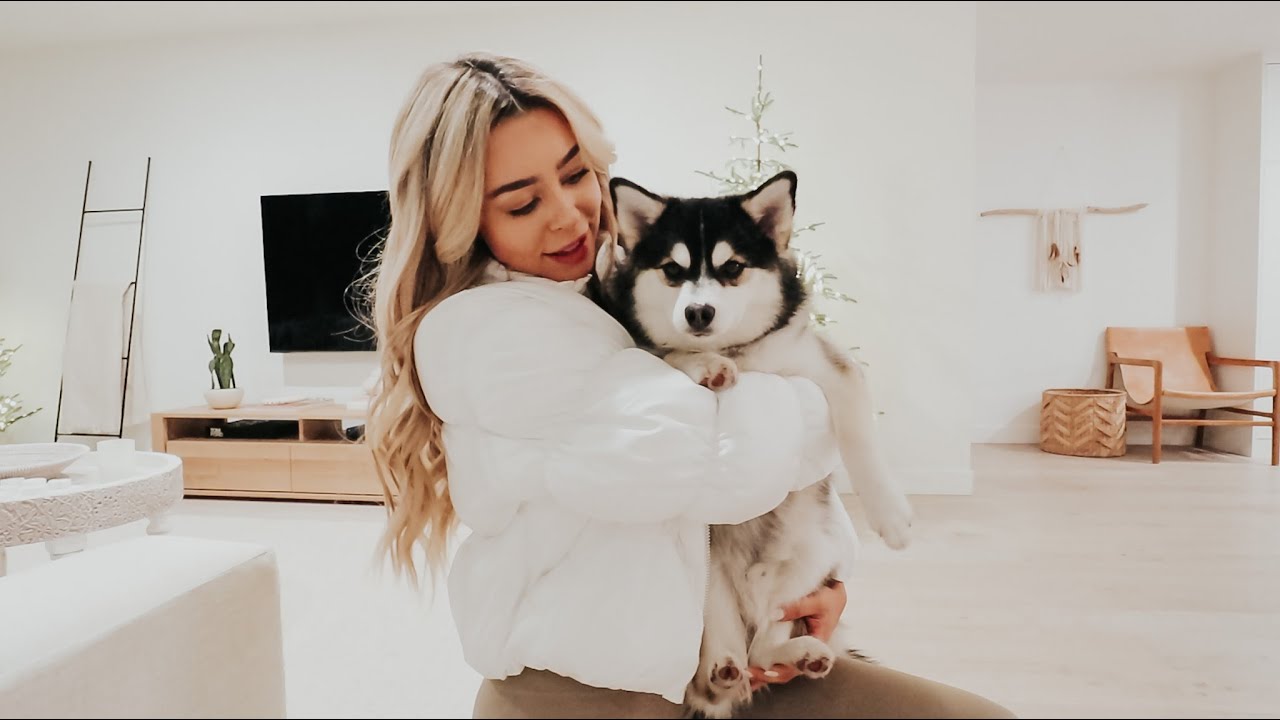 My new dog... vlogmas day 2! - YouTube