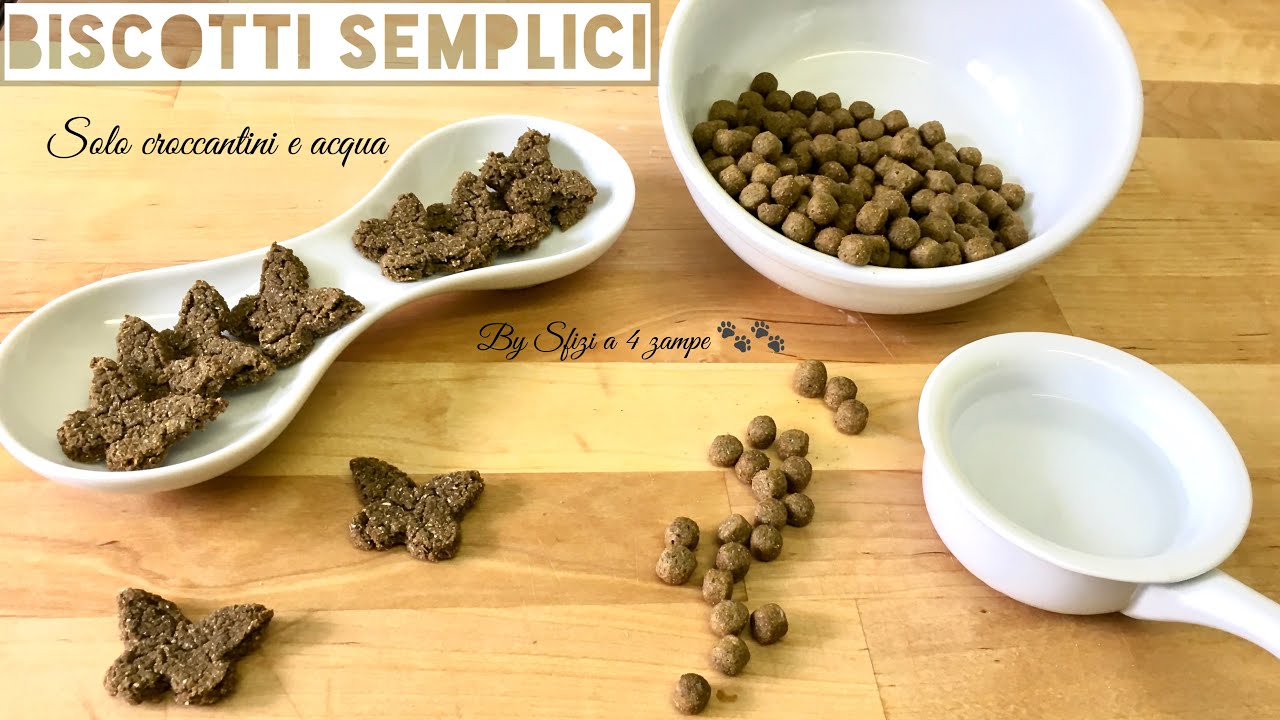 Biscotti per cani semplici solo croccantini e acqua - Biscuits for dogs ...