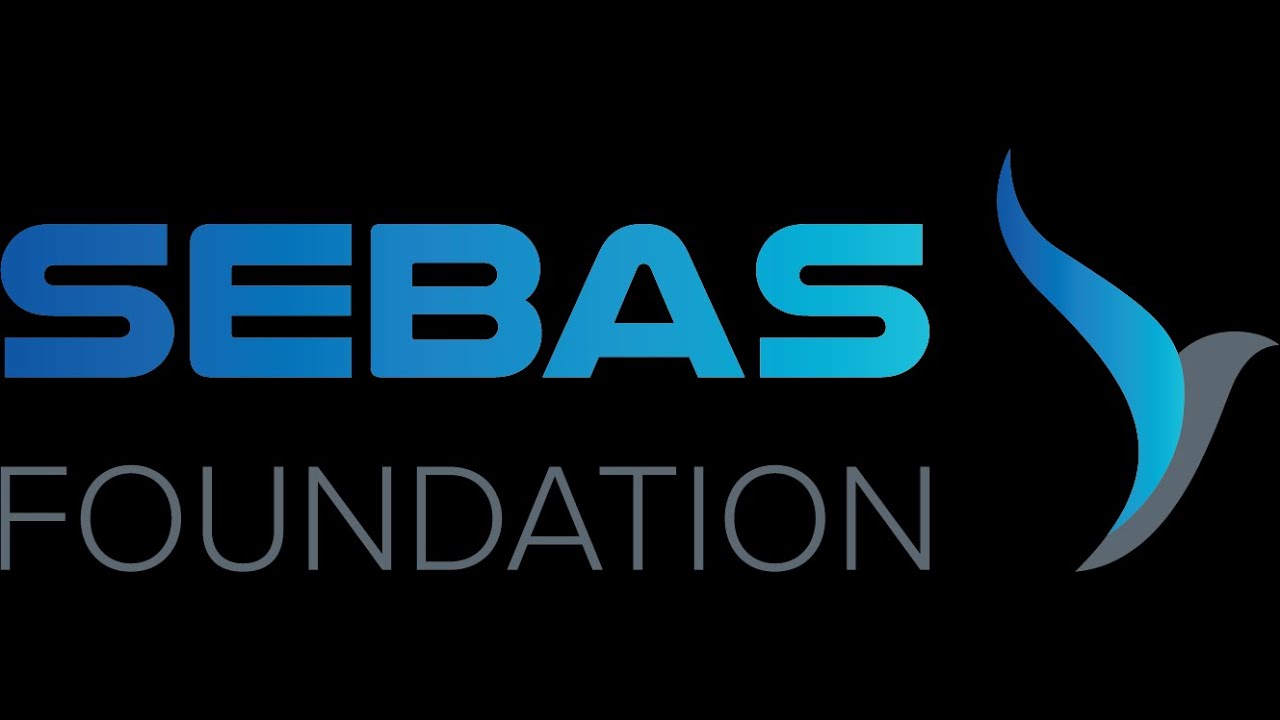 SEBAS Foundation Intro Video- Founder, Jennifer Sebasigari - YouTube