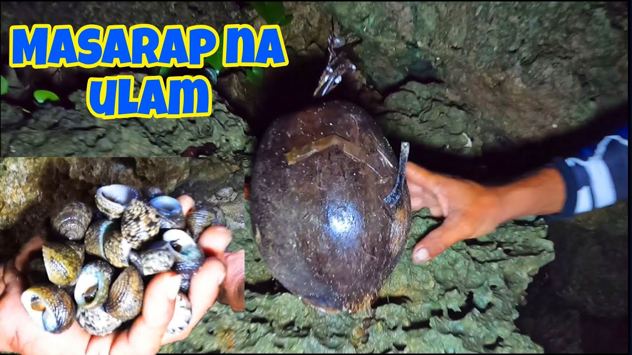 Shell na Mukhang Kuko pero masarap pala! Part 1 - YouTube