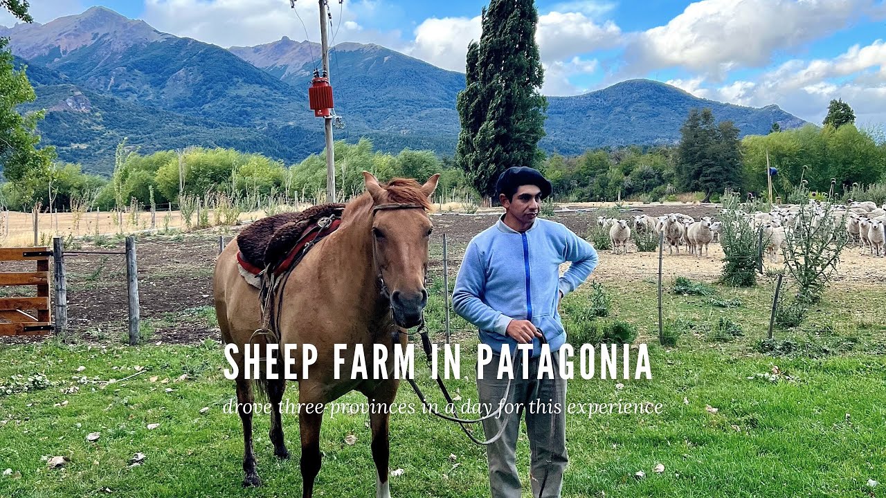 3 PROVINCES IN 1 DAY TO VISIT A FARM IN PATAGONIA. Episode 2 🇦🇷 - YouTube