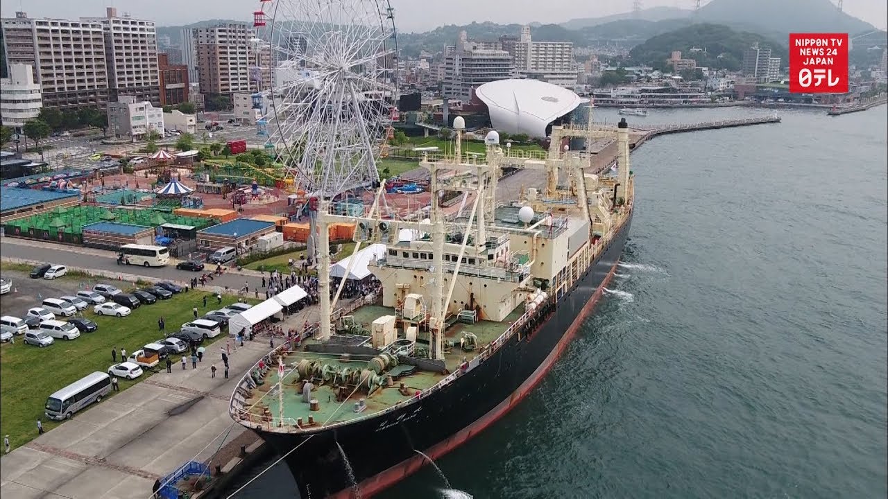 Japan resumes commercial whaling - YouTube