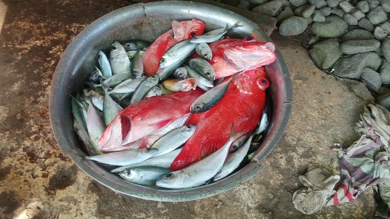 Part 8||Madami nahuli kami na BURAW ni Kapataw Teroy Limang Maya maya ...