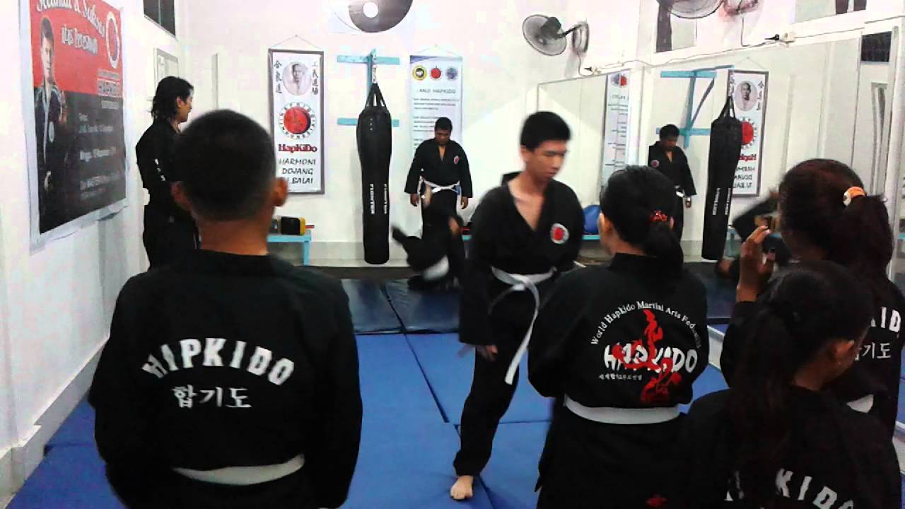 Hapkido basic training/ first class - YouTube