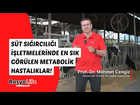 Süt Sığırcılığı İşletmelerinde En Sık Görülen Metabolik Hastalıklar (Prof. Dr. Mehmet Cengiz)