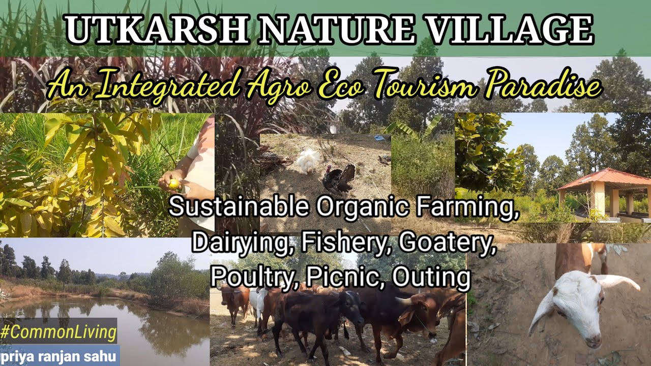 Environmental Scientist's Organic Sustainable Agro Eco Tourism Dream ...