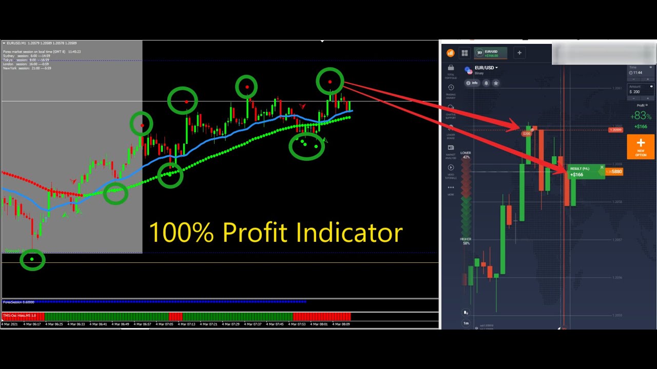 Boost Your Binary Profit With Vip Indicator Mt4 Binaryoptions Binary 9887