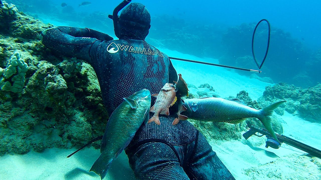 3-Prong Spearfishing For Big Parrot Fish, Ukus, And More! - YouTube