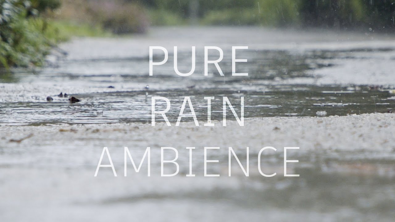 Pure rain ambience | Gentle rain sounds | Soft rain drizzle | Nature ...