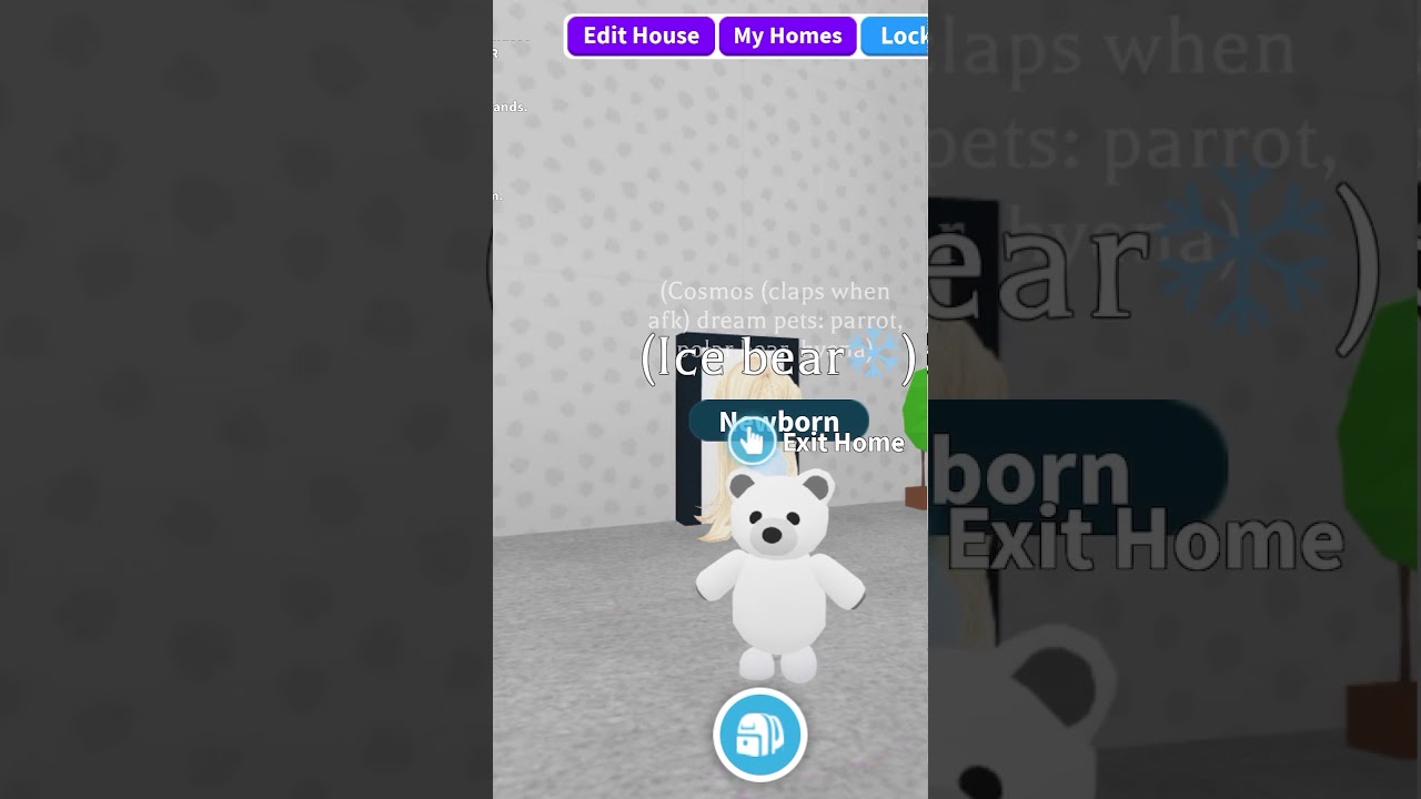 We bear bears in adopt me! - YouTube