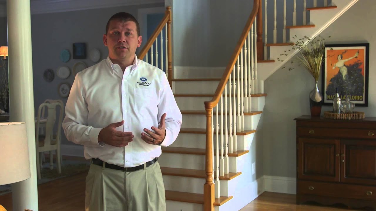 Allgood Pest Solutions - Integrated Pest Management - YouTube