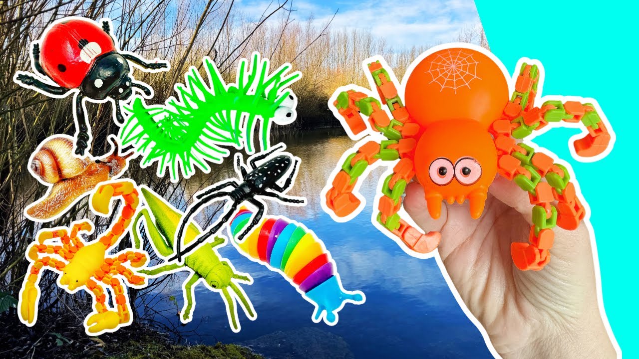 Learn Bug Insect Names & Facts for Babies Kids: Caterpillar Spider ...