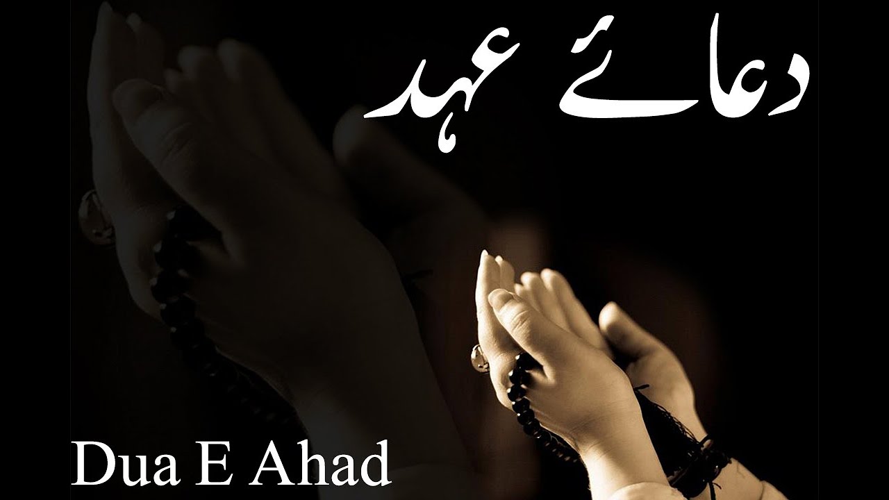 دعا ے عہد I Dua E Ahad I Dua E Ehad with English translation I Daily ...