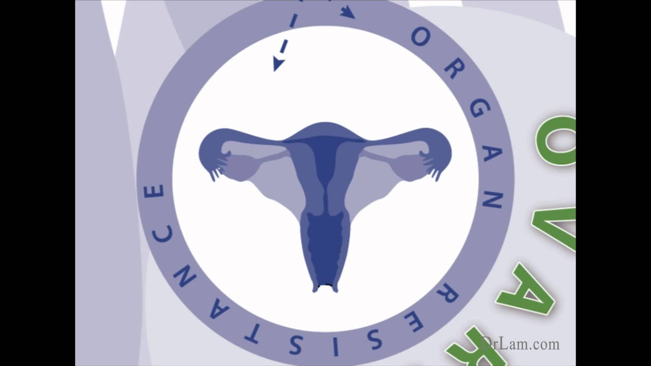 Ovarian Adrenal Thyroid (OAT) Axis Imbalance and Adrenal Fatigue ...