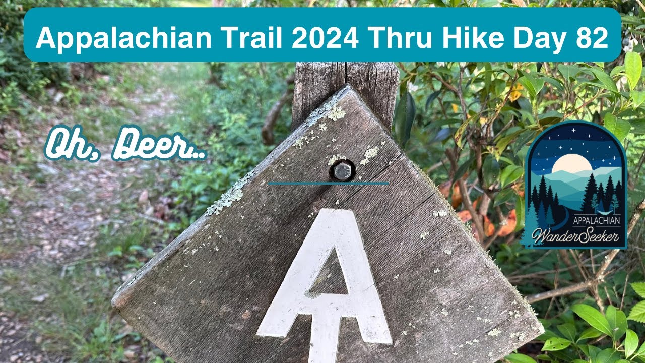 Appalachian Trail 2024 Thru Hike Day 82 - Oh, Deer! - YouTube