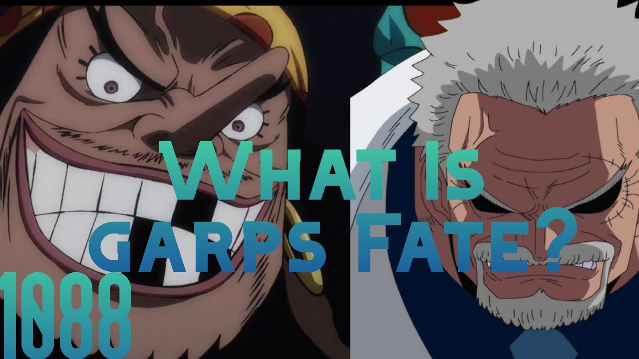 What Will be Garp's Fate?| How Will the World React To Him Being ...