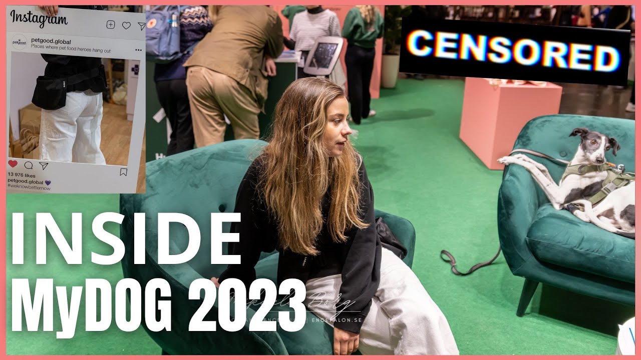 INSIDE MyDOG 2023 - HUMOM MÄSSAN 🔥 - YouTube