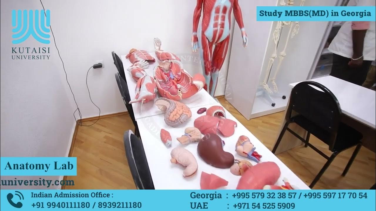 Anatomy Lab Kutaisi University Georgia Kutaisi University UNIK #mbbsstudent #mbbsadmission - YouTube