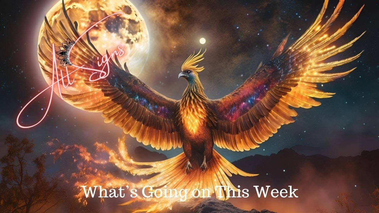 All Signs - What's going on this Week - YouTube