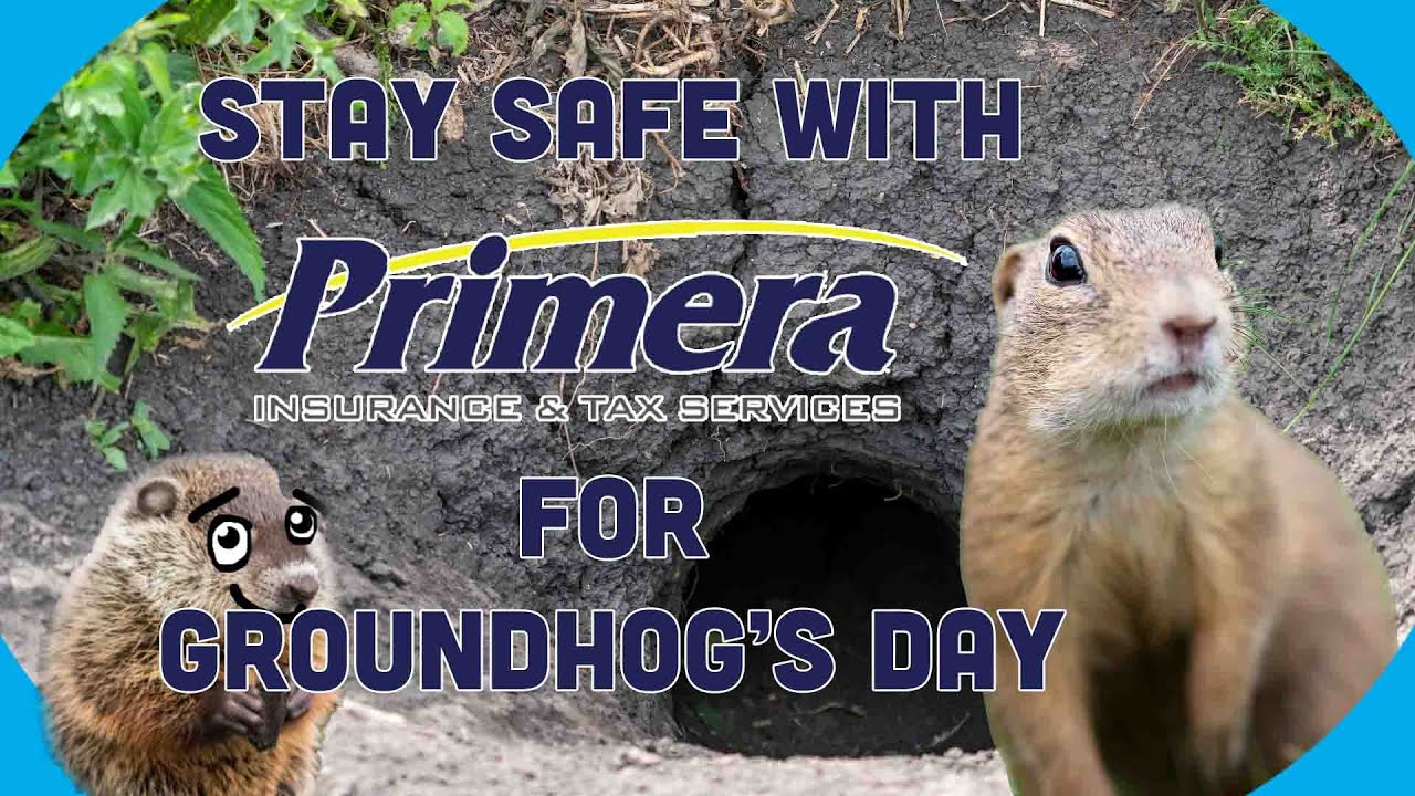 Stay Safe This Groundhog's Day With Primera - YouTube