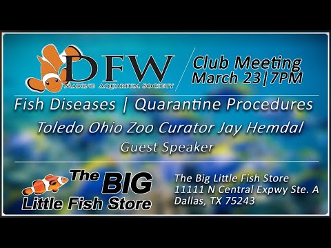 Jay Hemdal on Fish Diseases, Quarantine Procedures/Protocols at The Big ...
