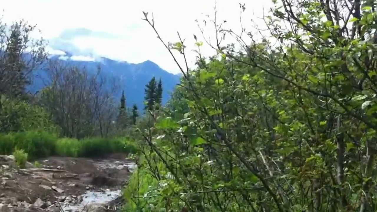 KINGS RIVER ALASKA JEEP WRANGLER TRAIL RUN 6 - YouTube