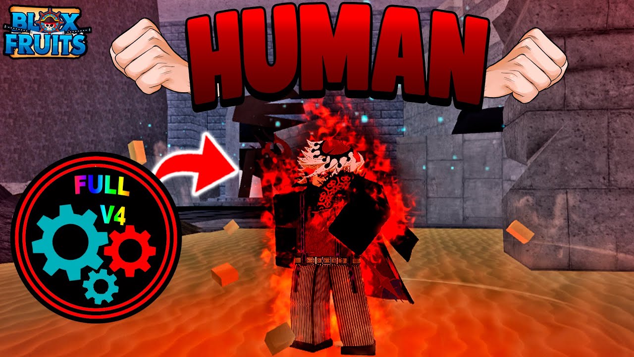 DESPERTEI a HUMAN V1 V2 V3 e V4 FULL em SERVE PUBLICO no BLOX FRUITS ...