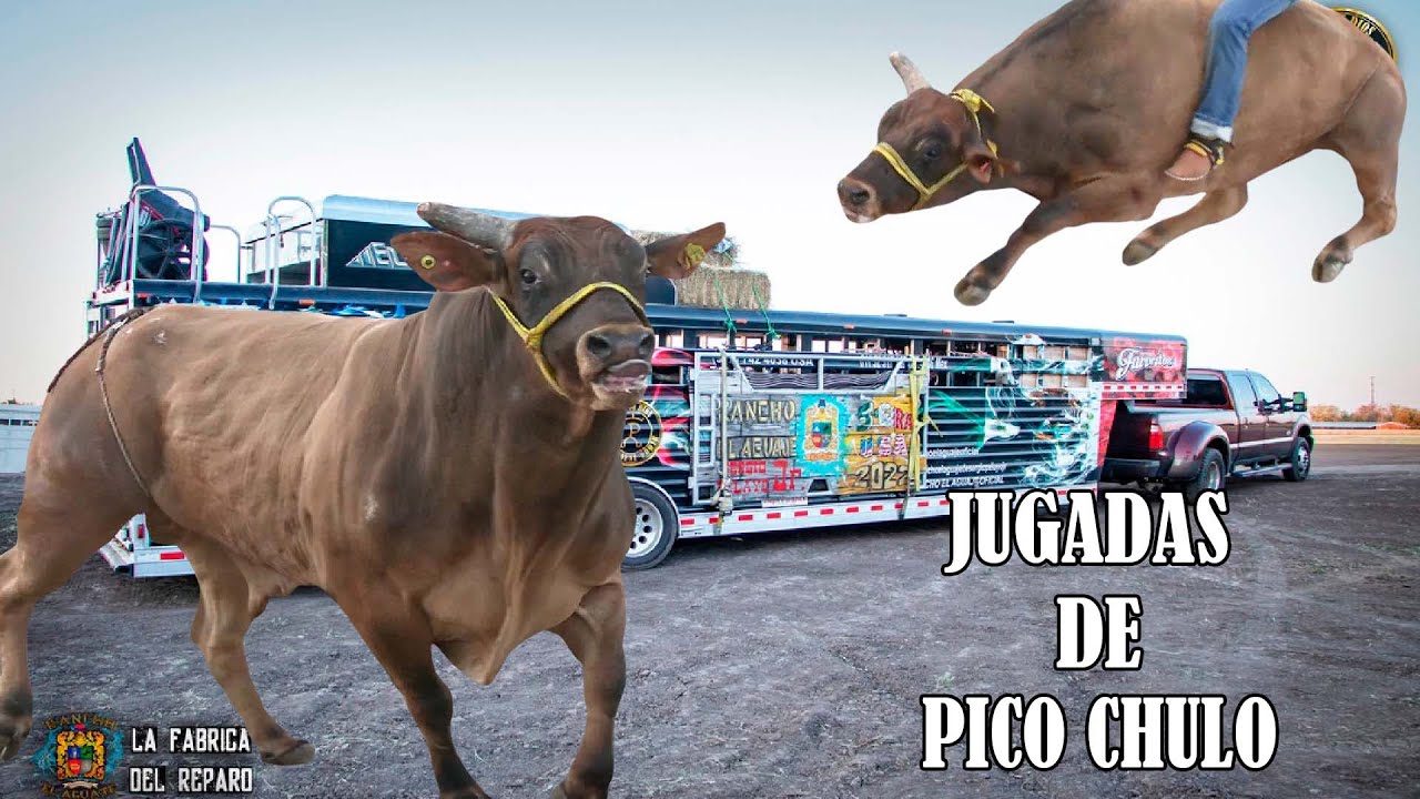 ! JUGADAS DE PICO CHULO DE RANCHO EL AGUAJE ¡! RECOPILACIÓN - YouTube