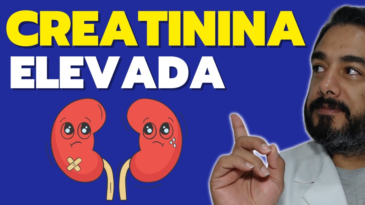 Creatinina Alta no Exame de Sangue: Descubra as Causas e Como ...