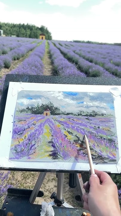 Этюд в лавандовых полях Plein Air In Lavender Fields Music Empty