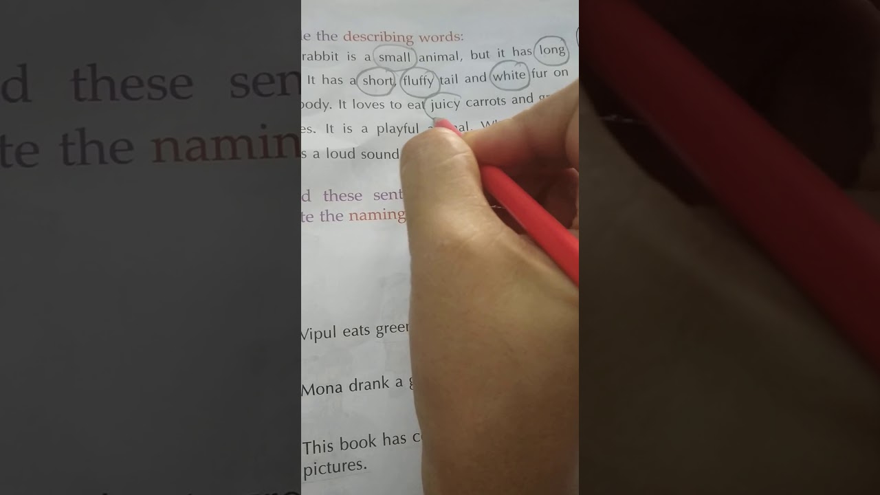 English Grammar Ch 5 Describing Words For Class 1 YouTube english-grammar-ch-5-describing-words-for-class-1-youtube